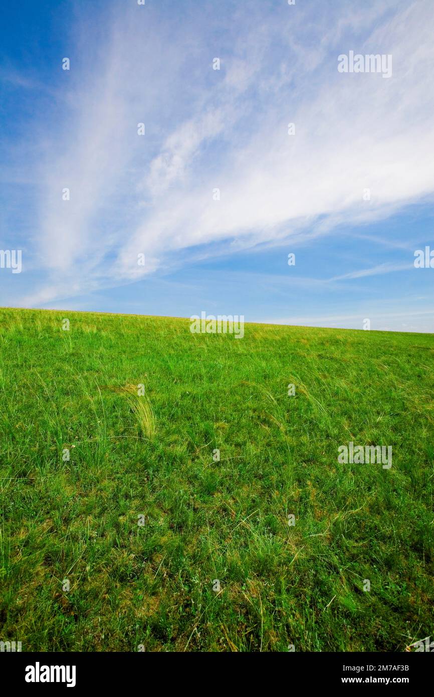 Bashang grassland in Inner Mongolia Stock Photo - Alamy