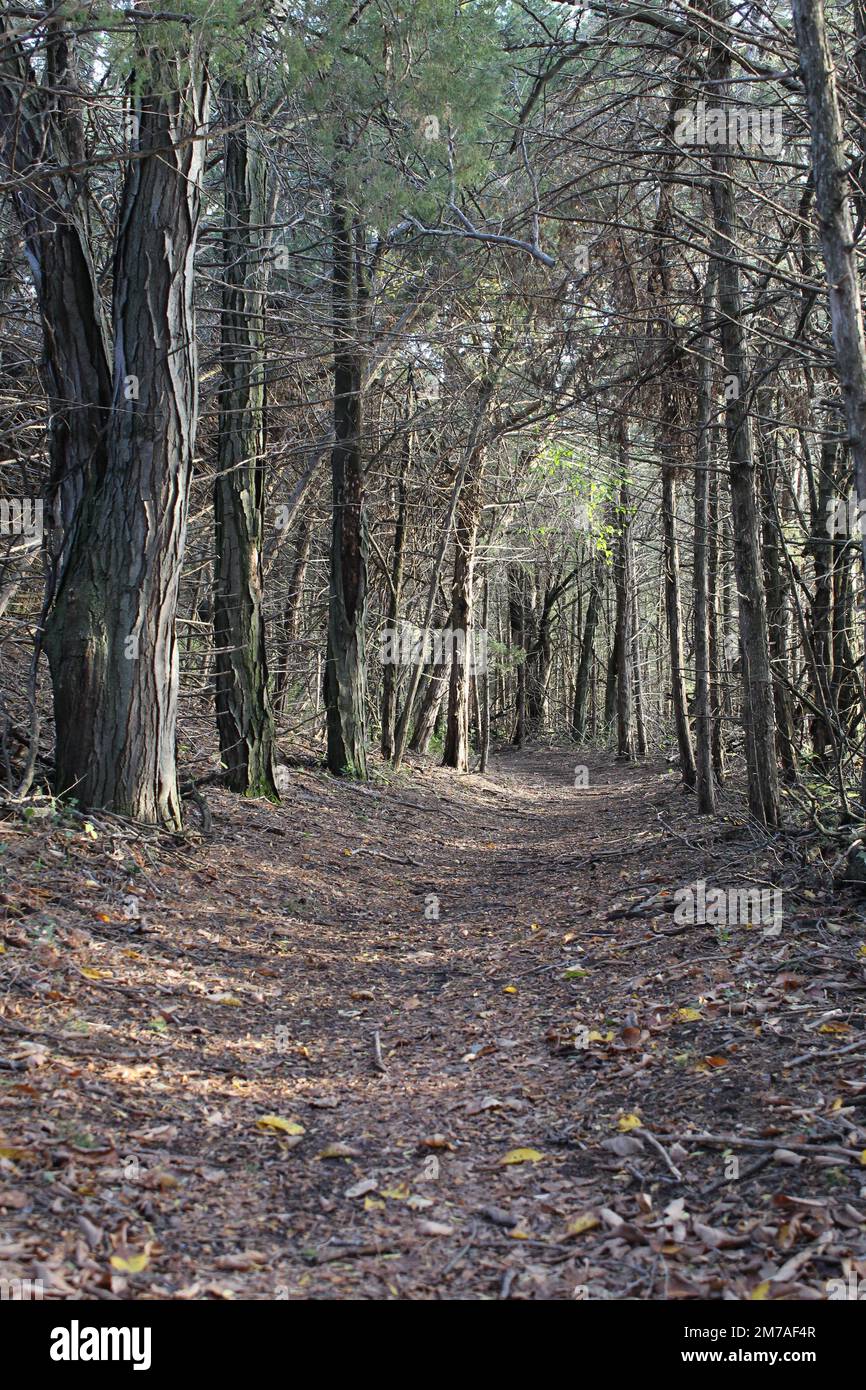 Peaceful trail hi-res stock photography and images - Alamy