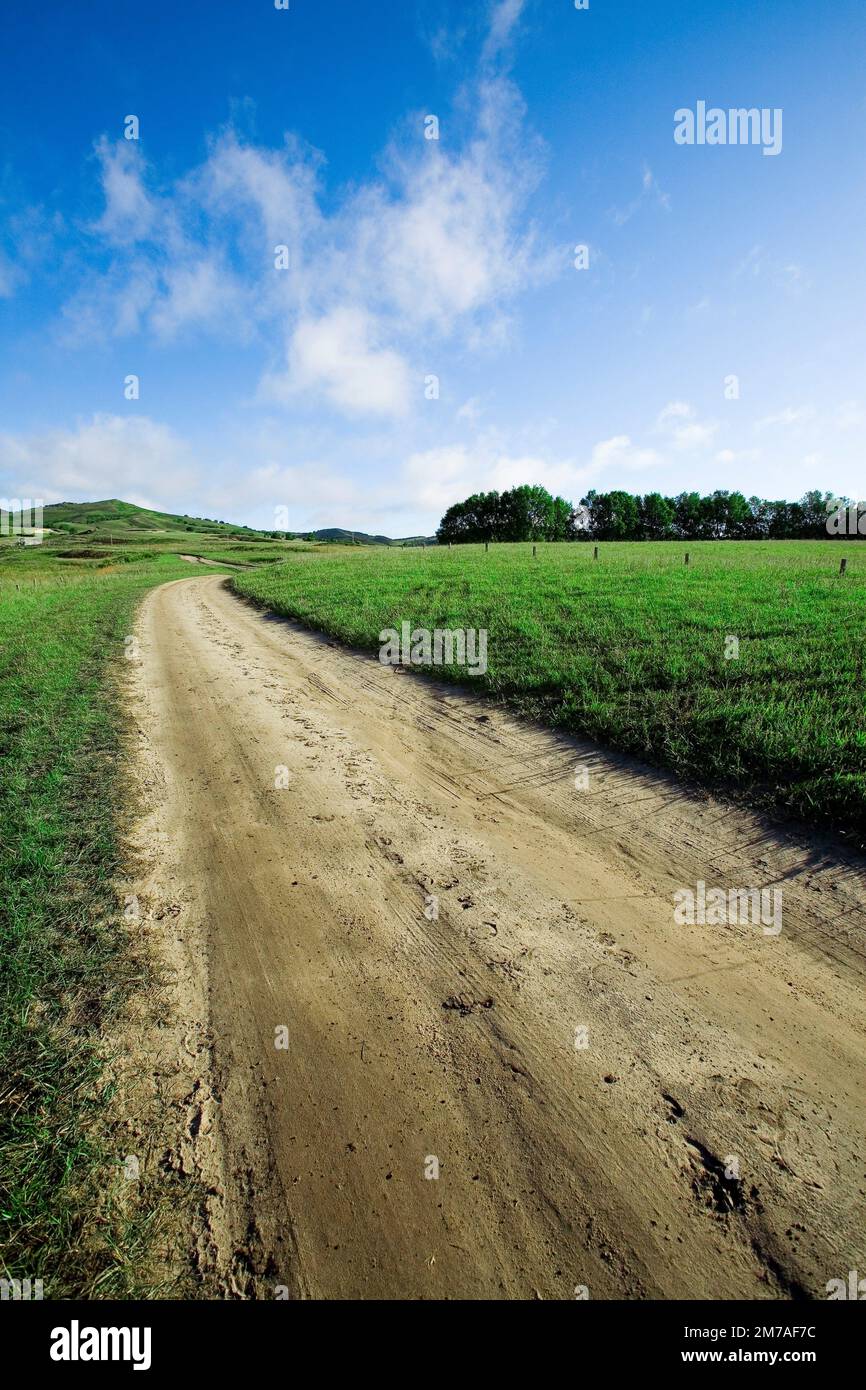 Bashang grassland in Inner Mongolia Stock Photo - Alamy
