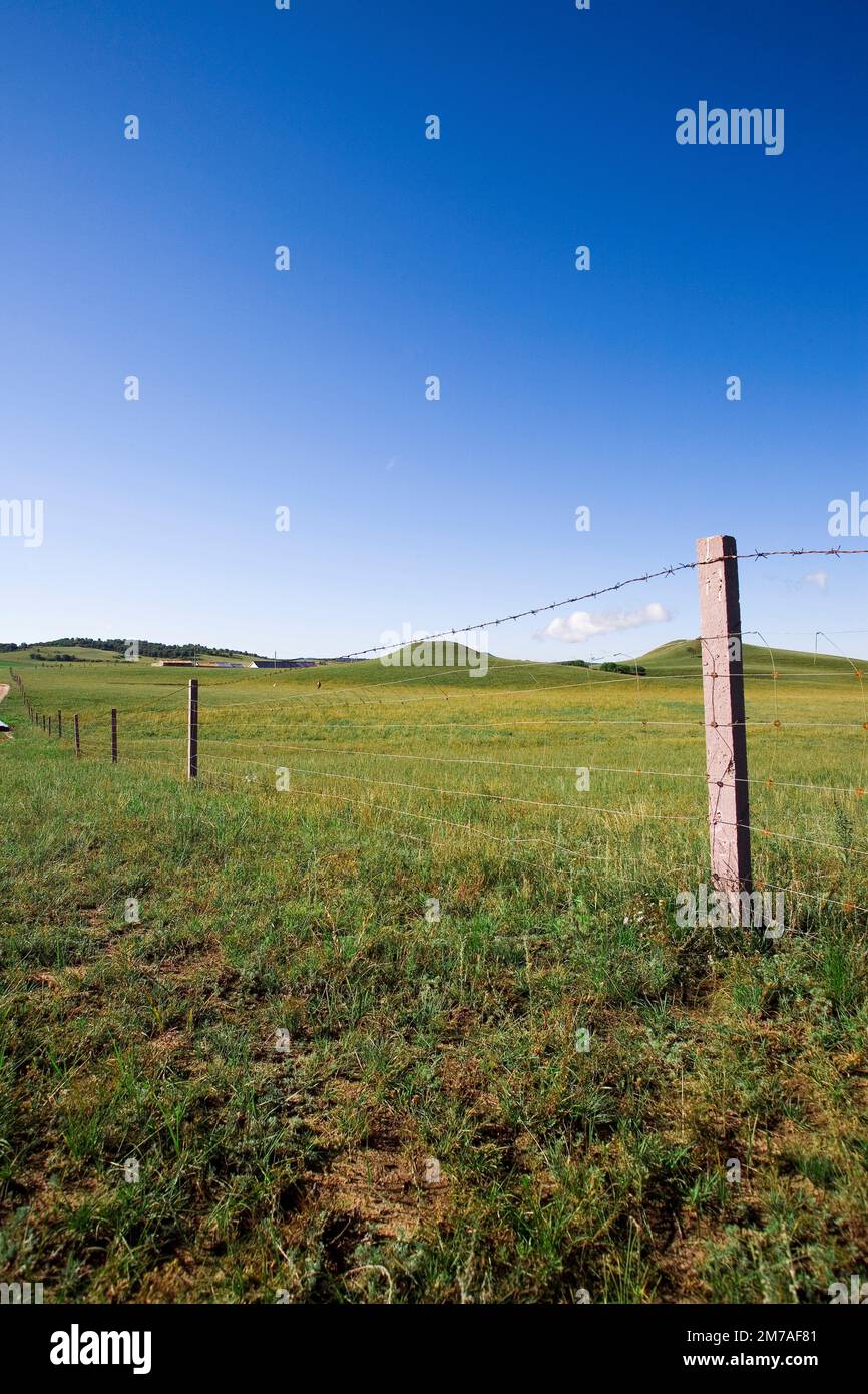 Bashang grassland in Inner Mongolia Stock Photo - Alamy