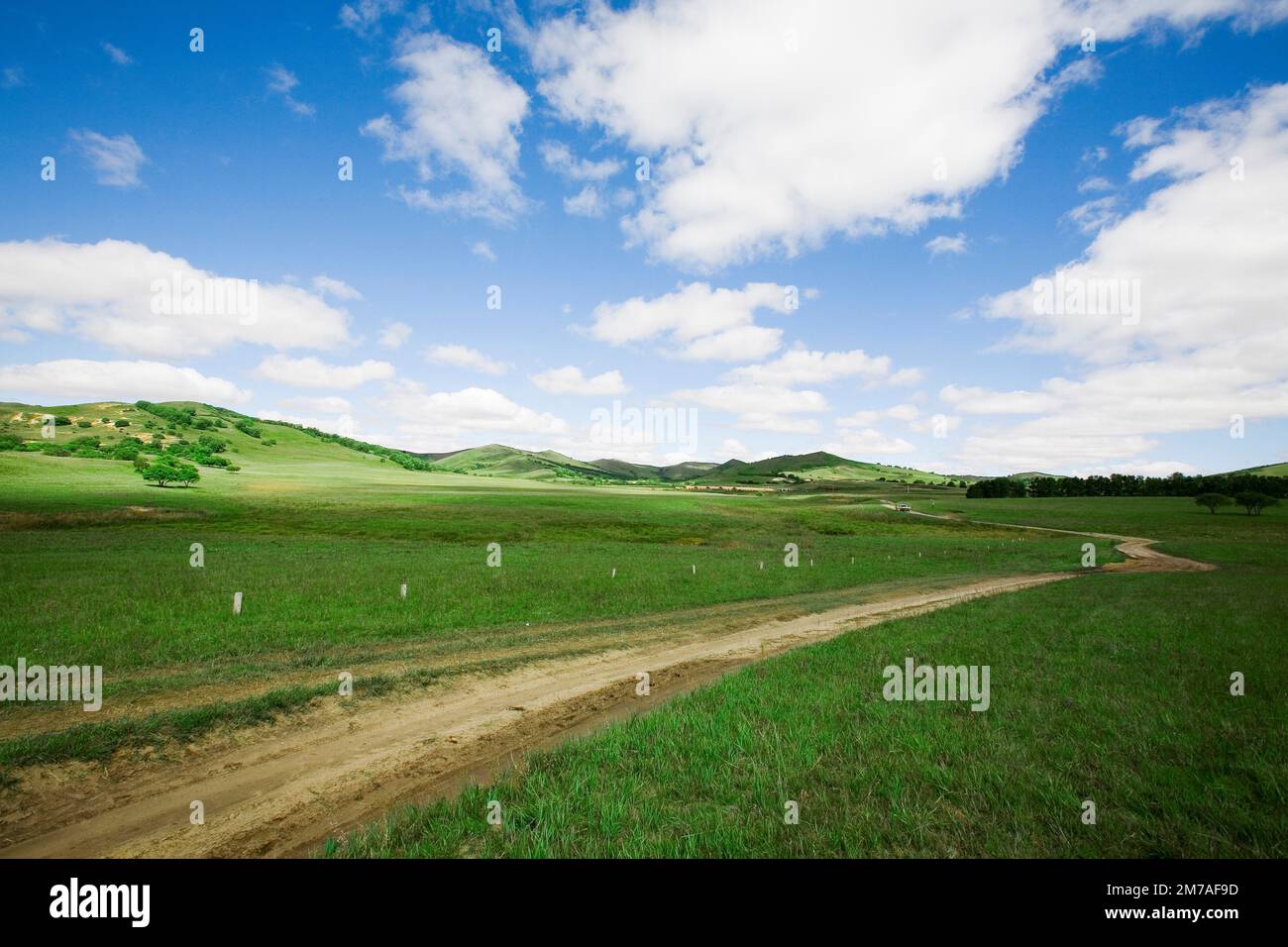 Bashang grassland in Inner Mongolia Stock Photo - Alamy