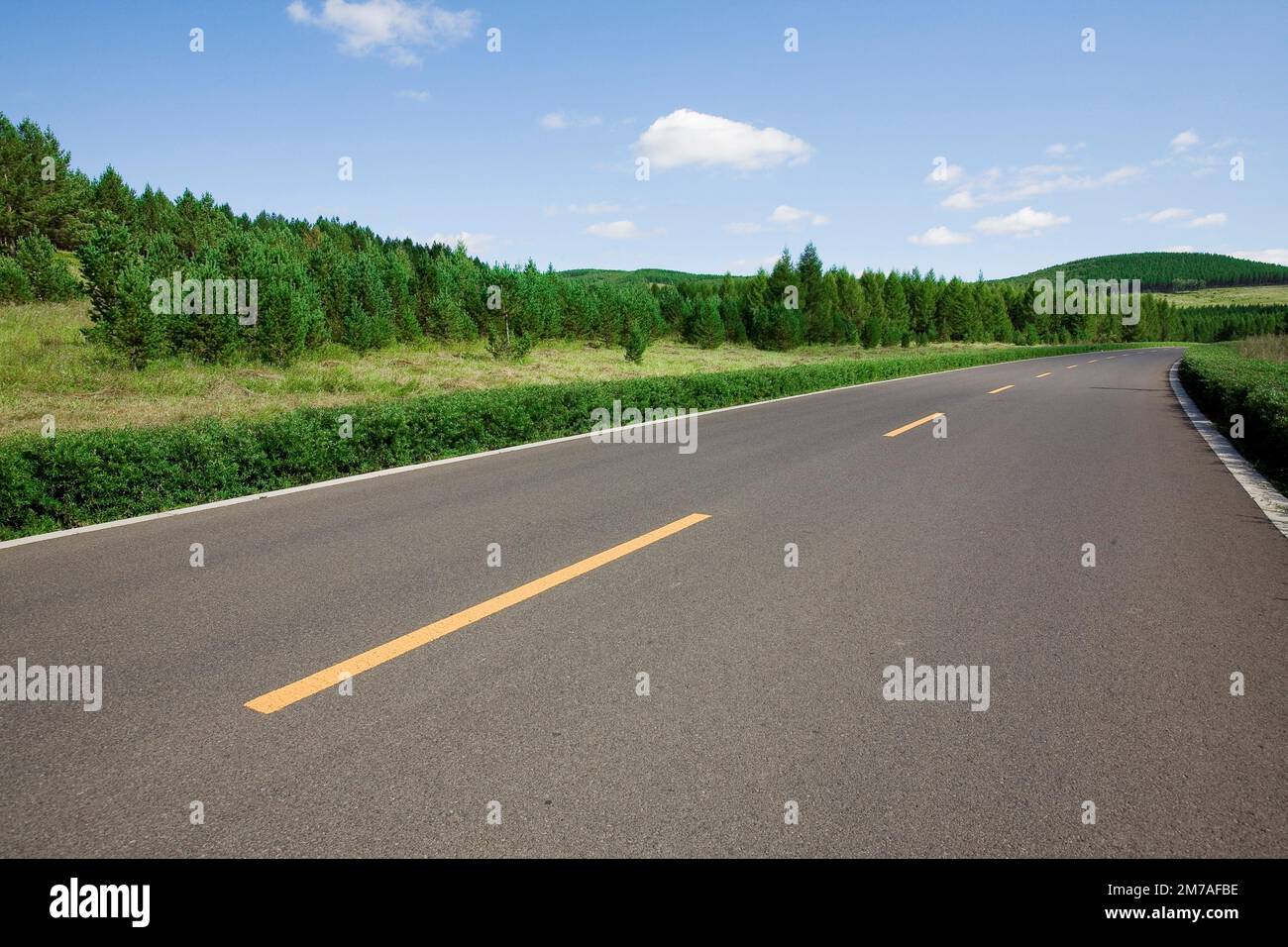 Bashang grassland in Inner Mongolia Stock Photo - Alamy