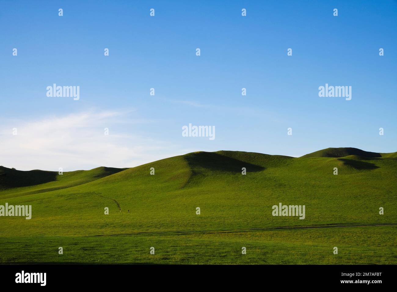 Bashang grassland in Inner Mongolia Stock Photo - Alamy