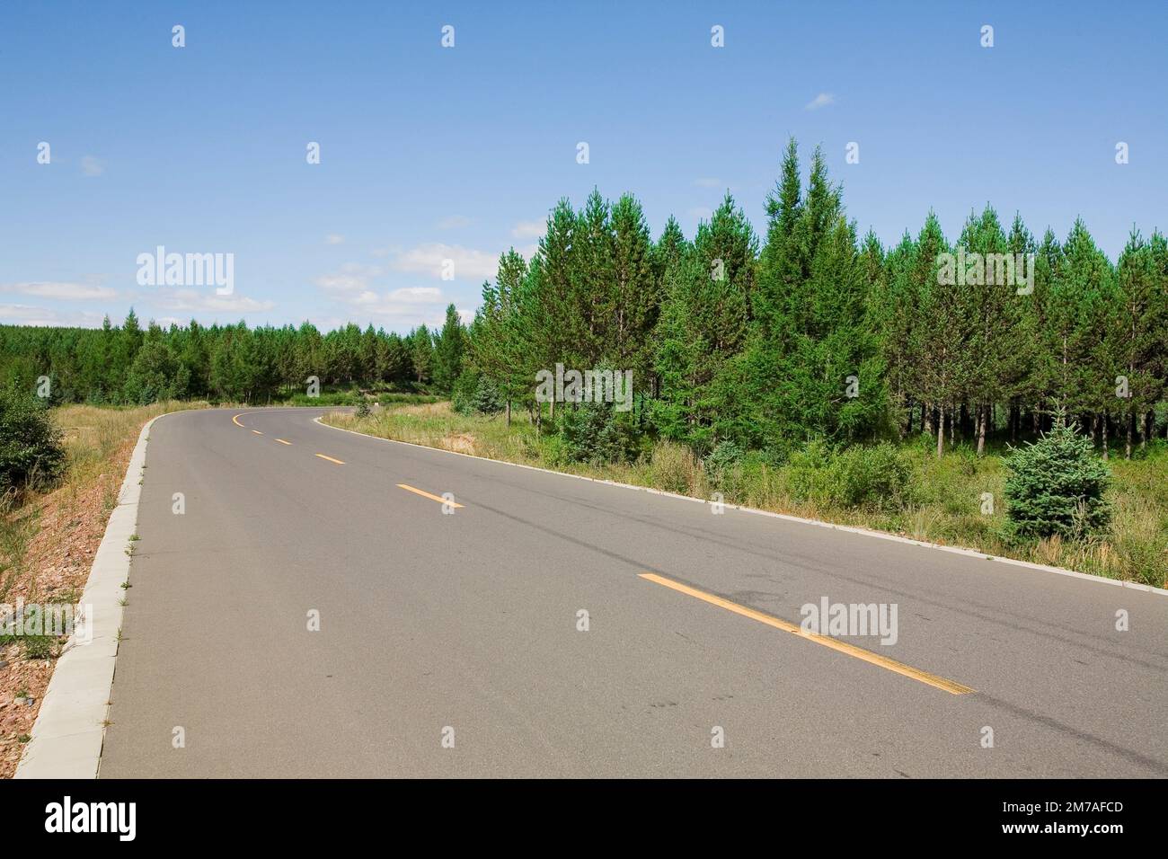 Bashang grassland in Inner Mongolia Stock Photo - Alamy