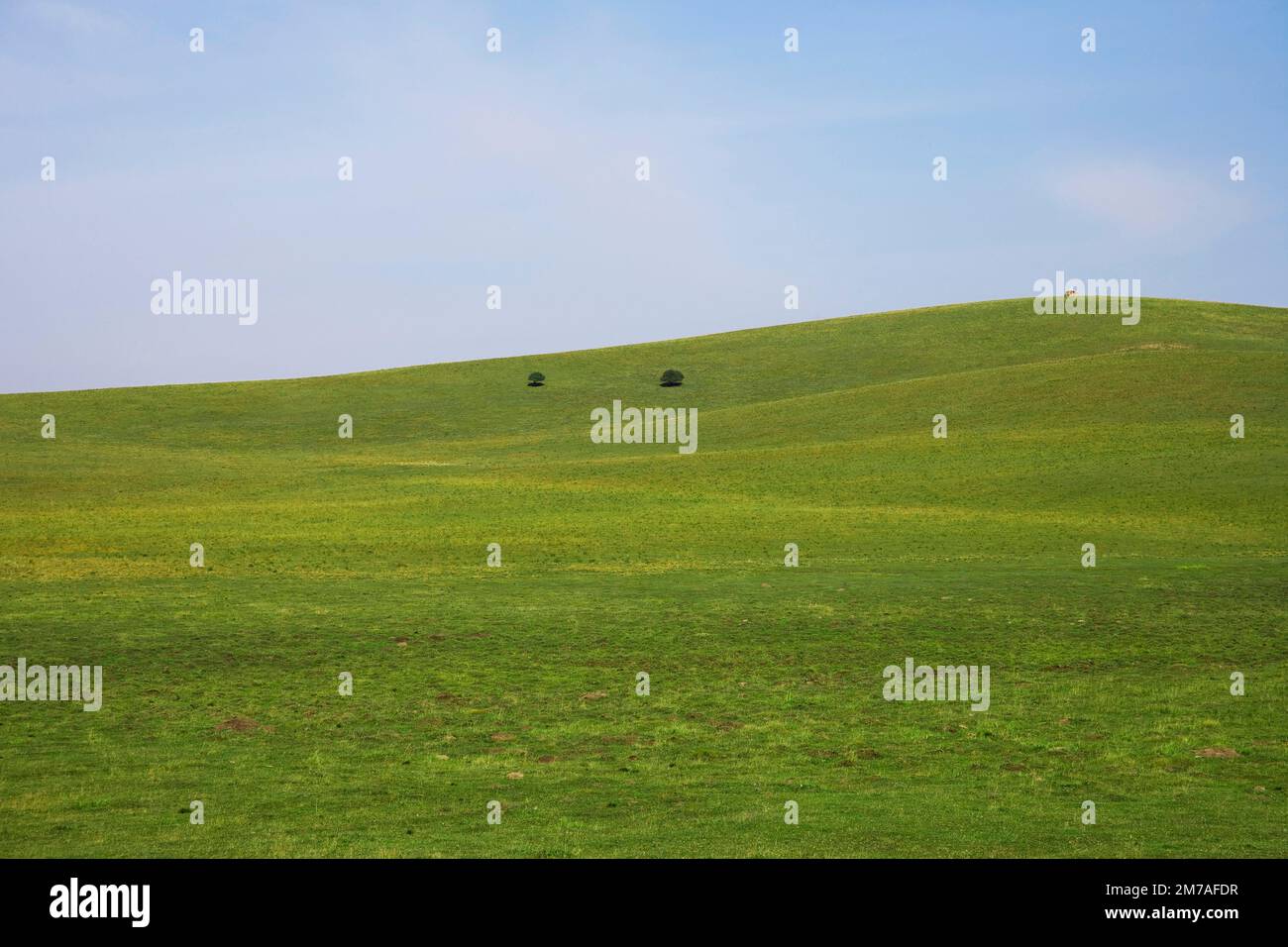 Bashang grassland in Inner Mongolia Stock Photo - Alamy