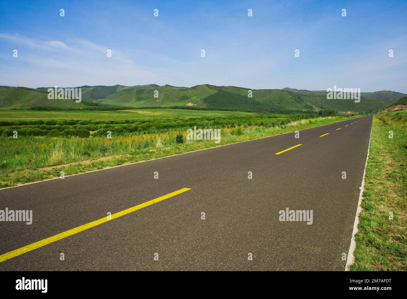 Bashang grassland in Inner Mongolia Stock Photo - Alamy