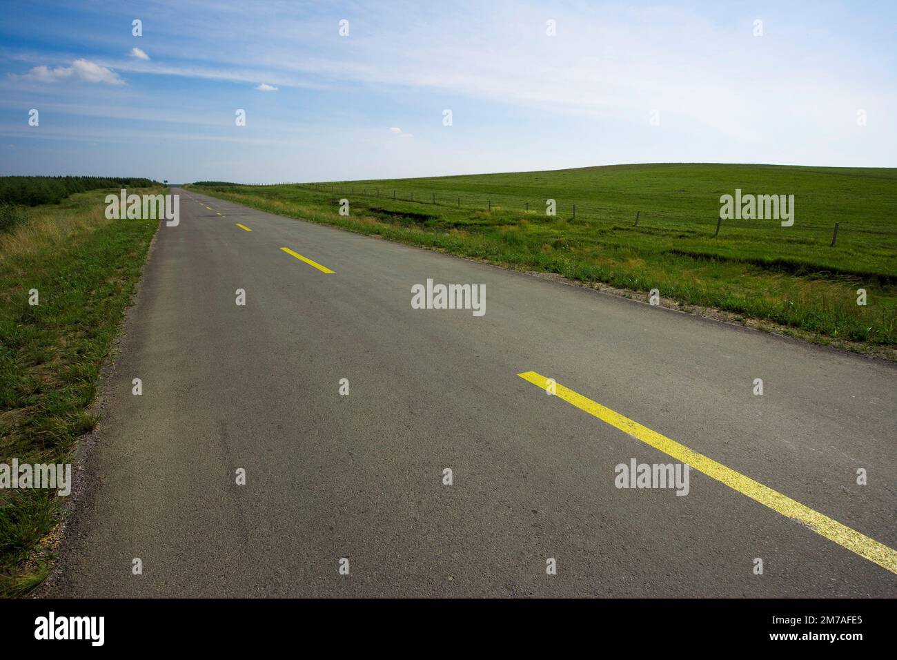 Inner Mongolia Bashang Photo Tour China Unusual Expedition