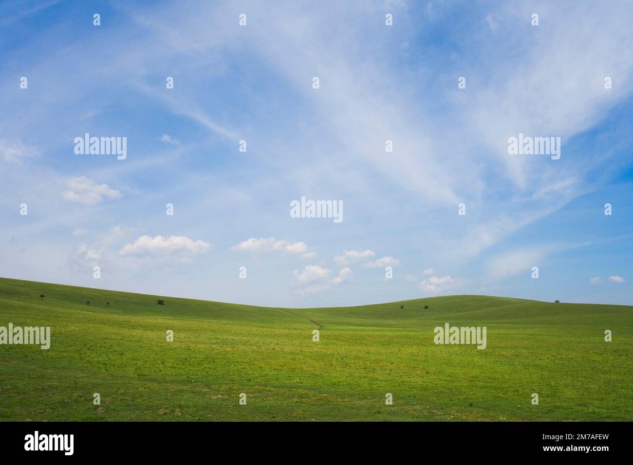 Bashang grassland in Inner Mongolia Stock Photo - Alamy