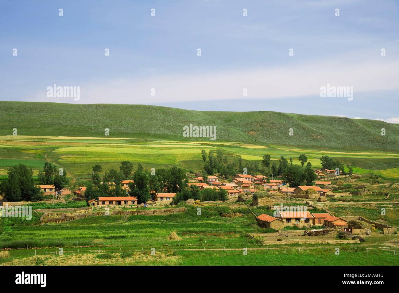 Bashang grassland in Inner Mongolia Stock Photo - Alamy