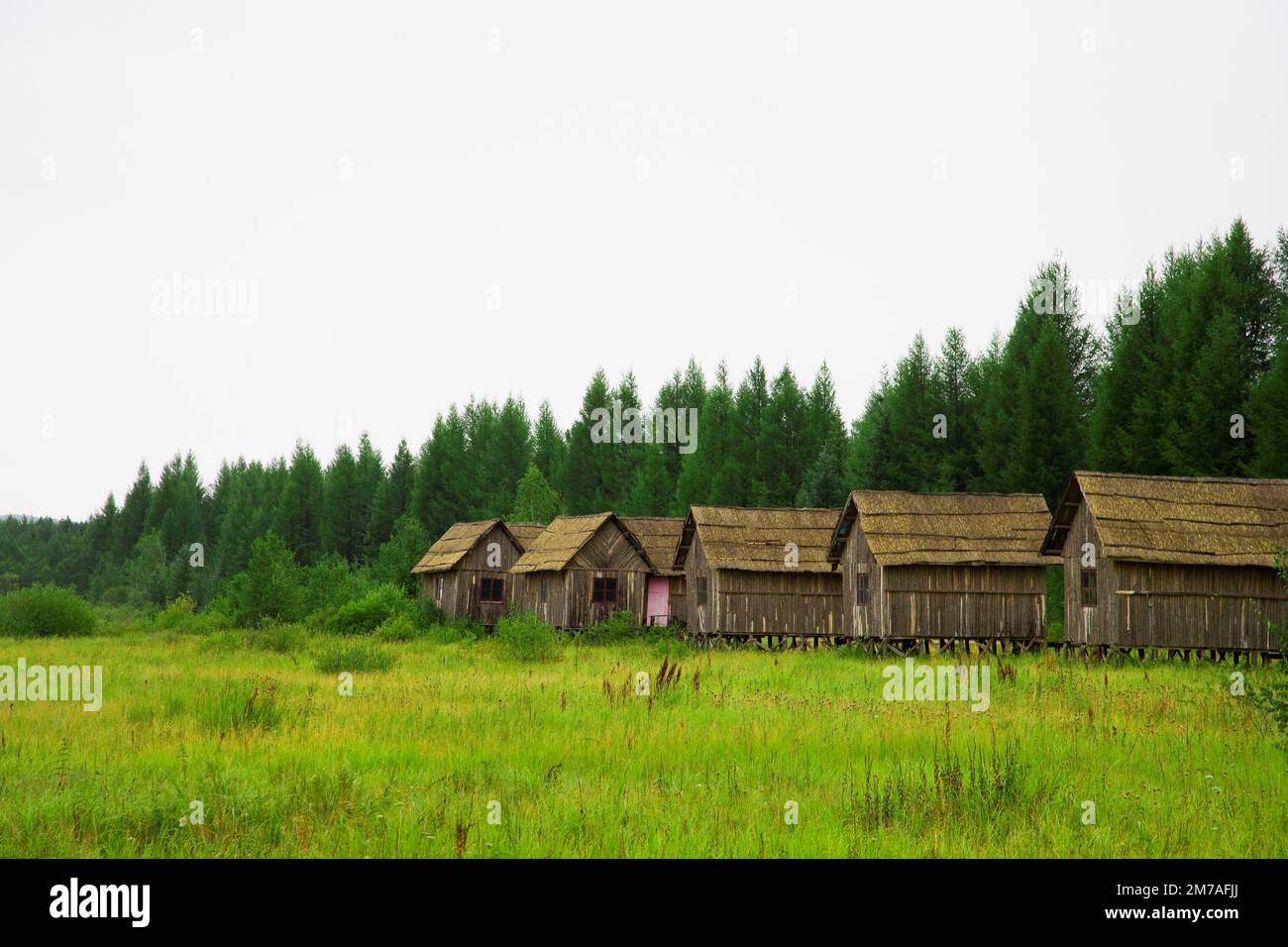 Bashang grassland hebei province china hi-res stock photography and ...