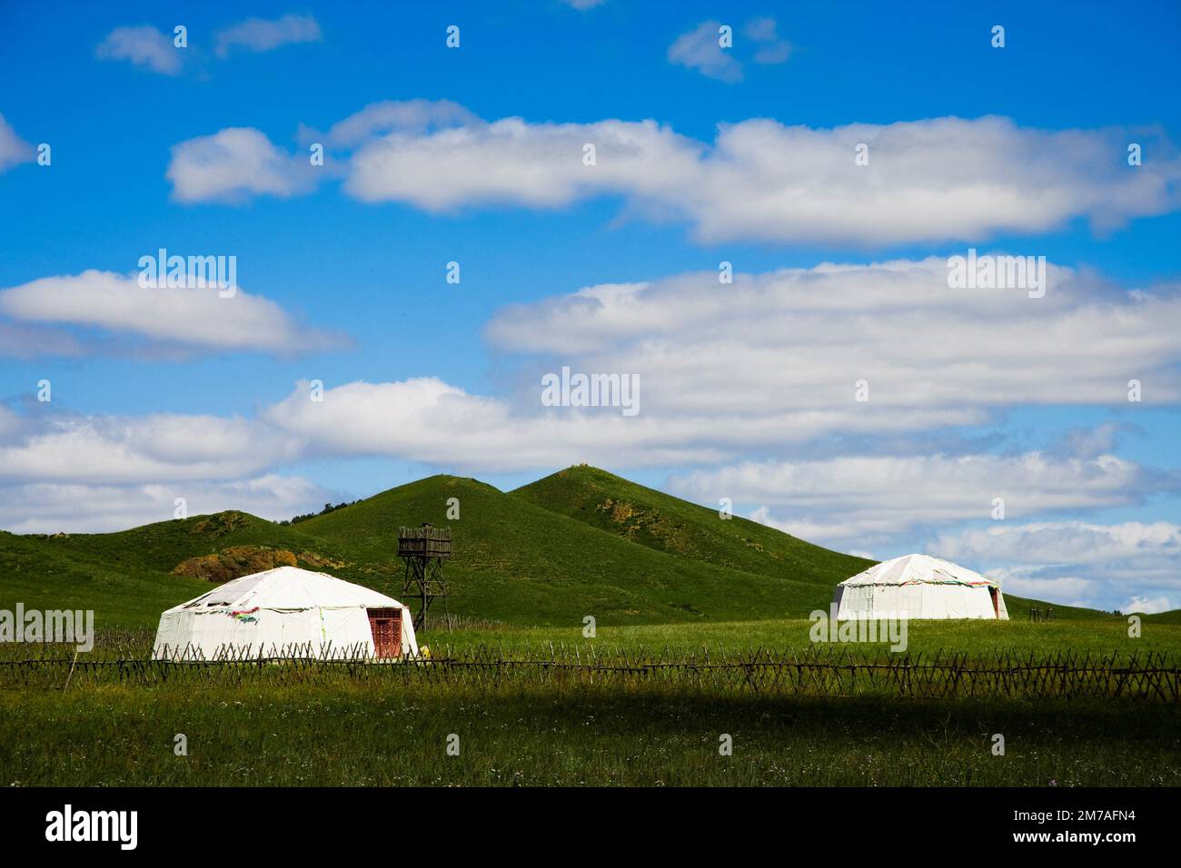 Bashang grassland in Inner Mongolia Stock Photo - Alamy