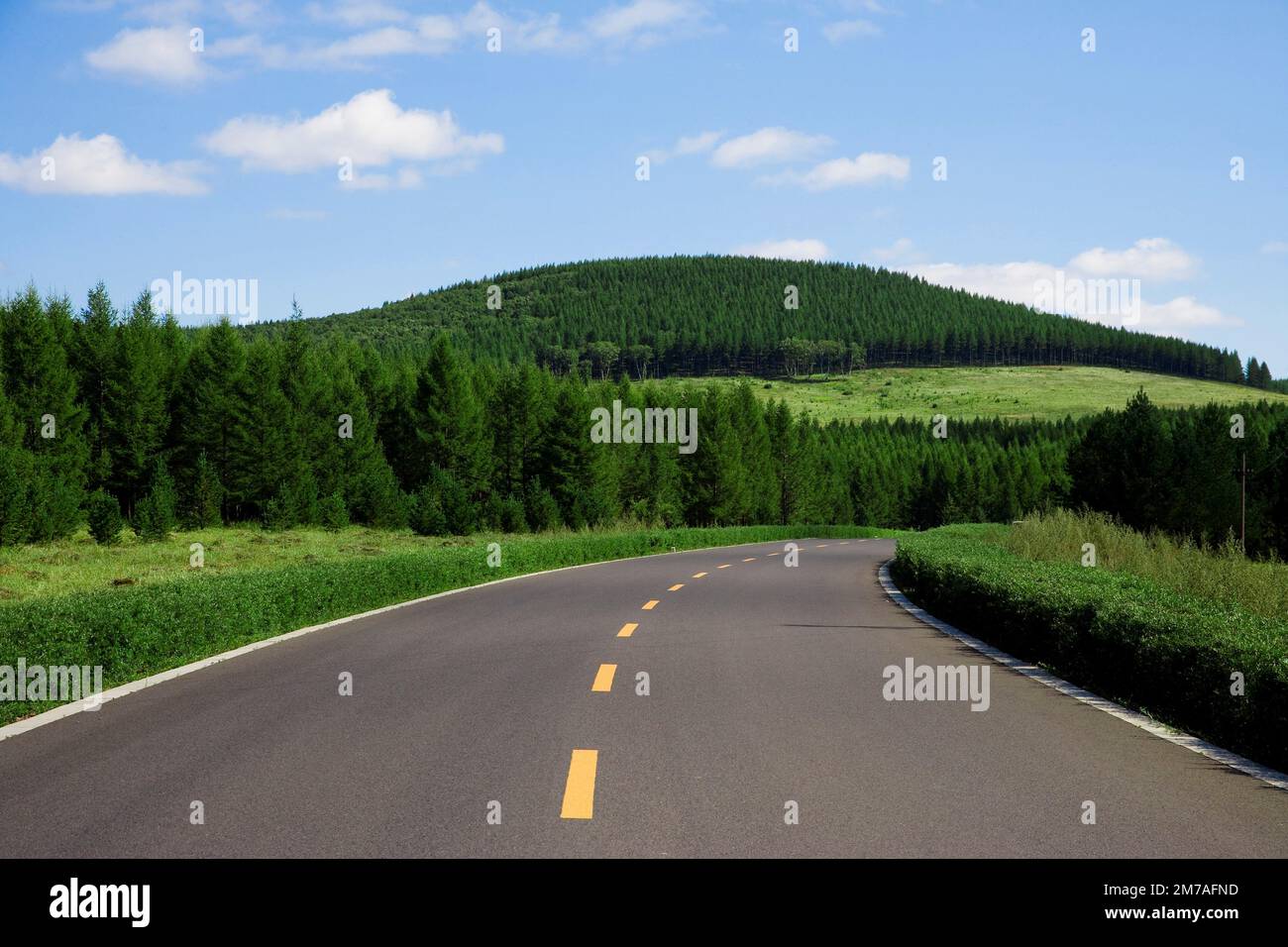 Bashang grassland in Inner Mongolia Stock Photo - Alamy