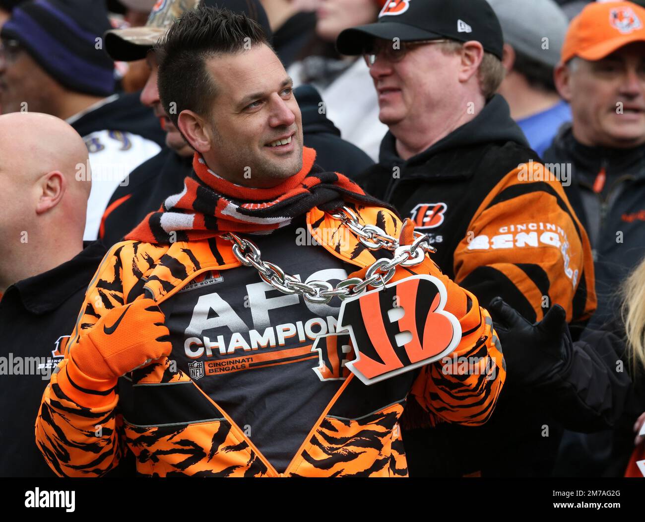 Jan ravens hi-res stock photography and images - Alamy