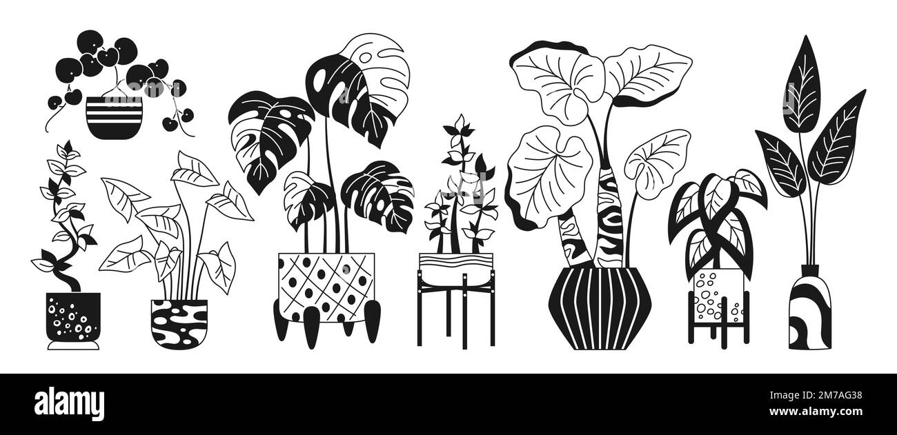 House potted plant, trendy doodle linear set. Exotic houseplants ...