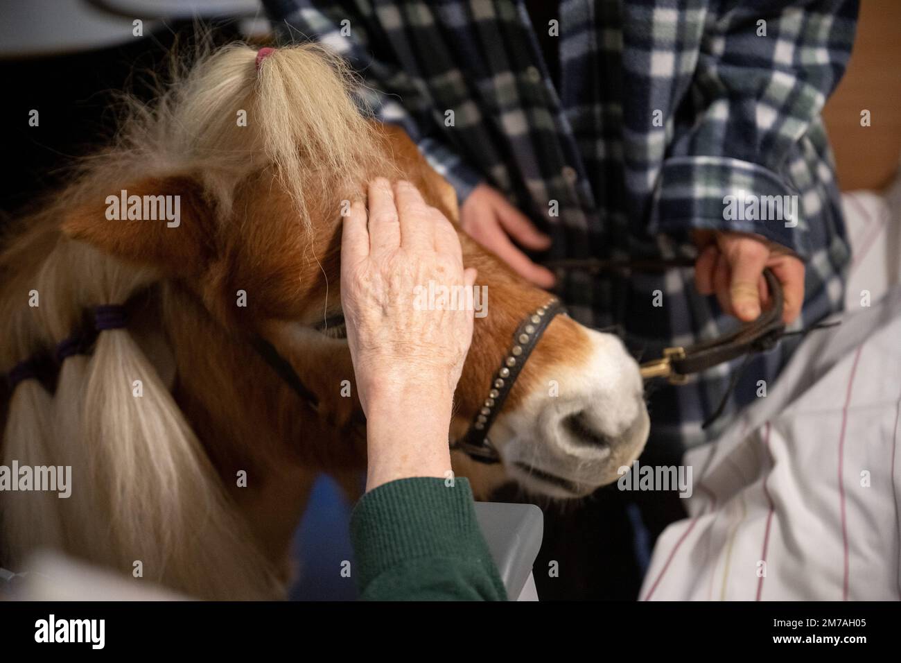 12 December 2022, Hessen, Frankfurt/Main: Resident Dieter Fröbe pets ...