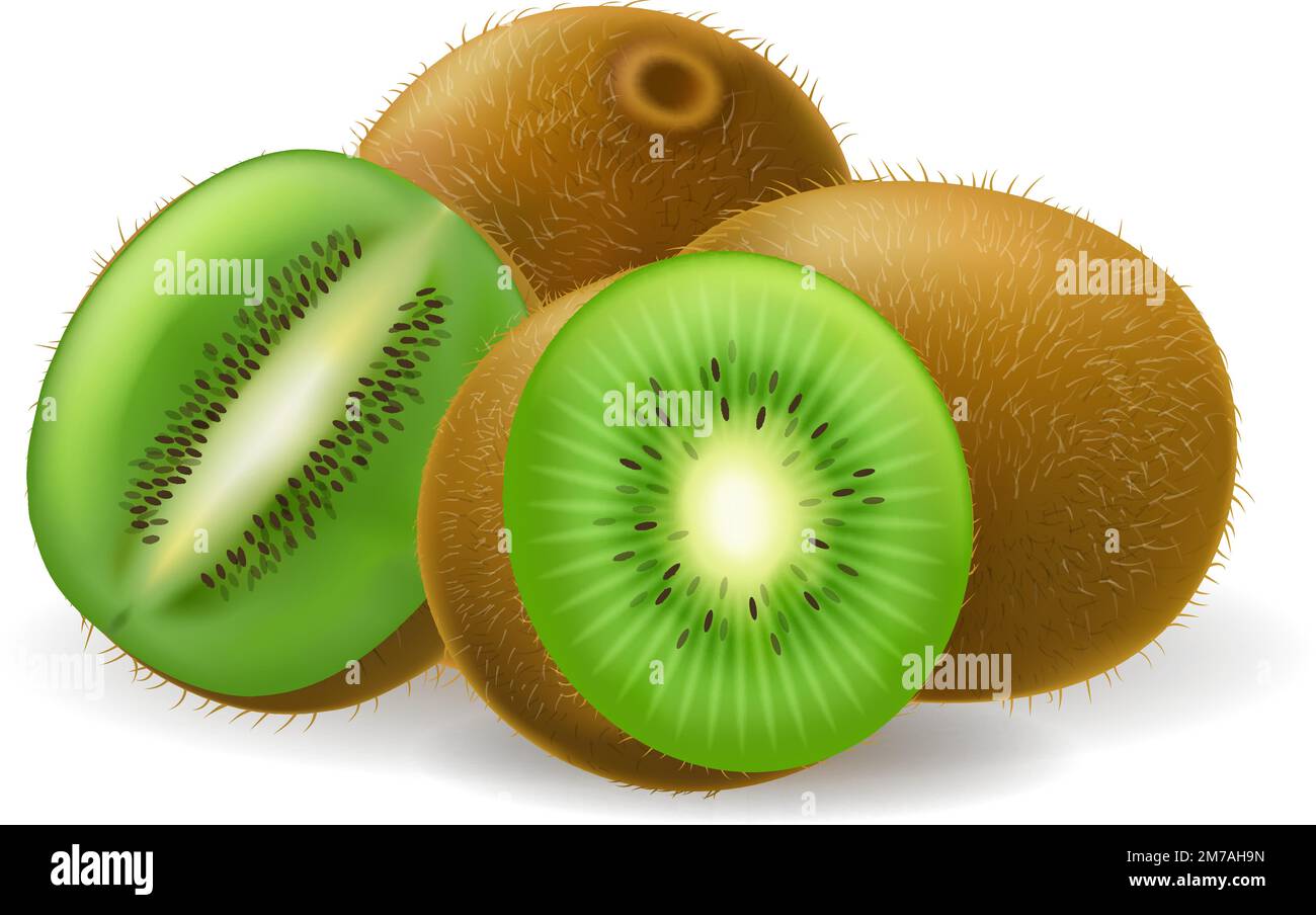 Realistic kiwi fruits Stock Vector Image & Art - Alamy