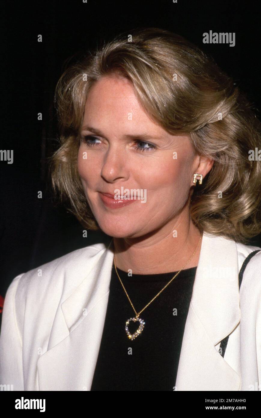 Sharon Gless at the 7th Annual Television Festival Honoring The Museum ...
