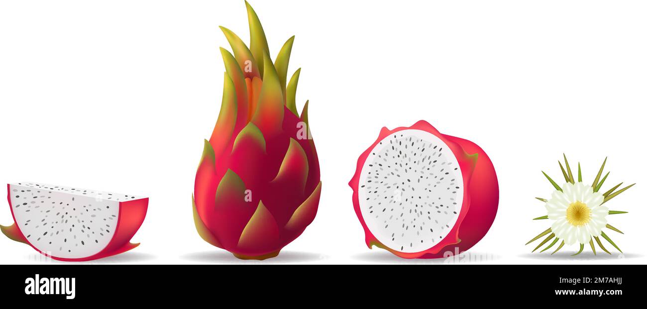 Ripe red pitaya cut Stock Vector Images - Alamy