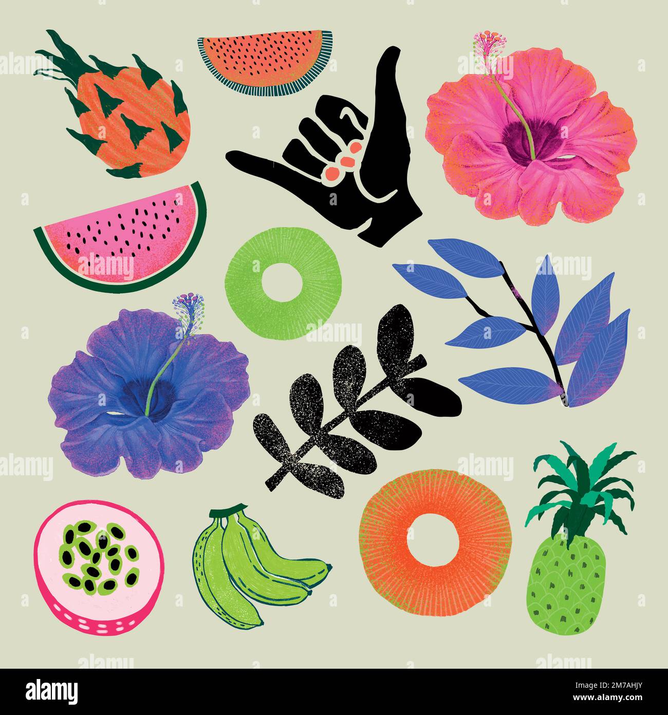 Pineapple watermelon tropical flower Stock Vector Images - Alamy