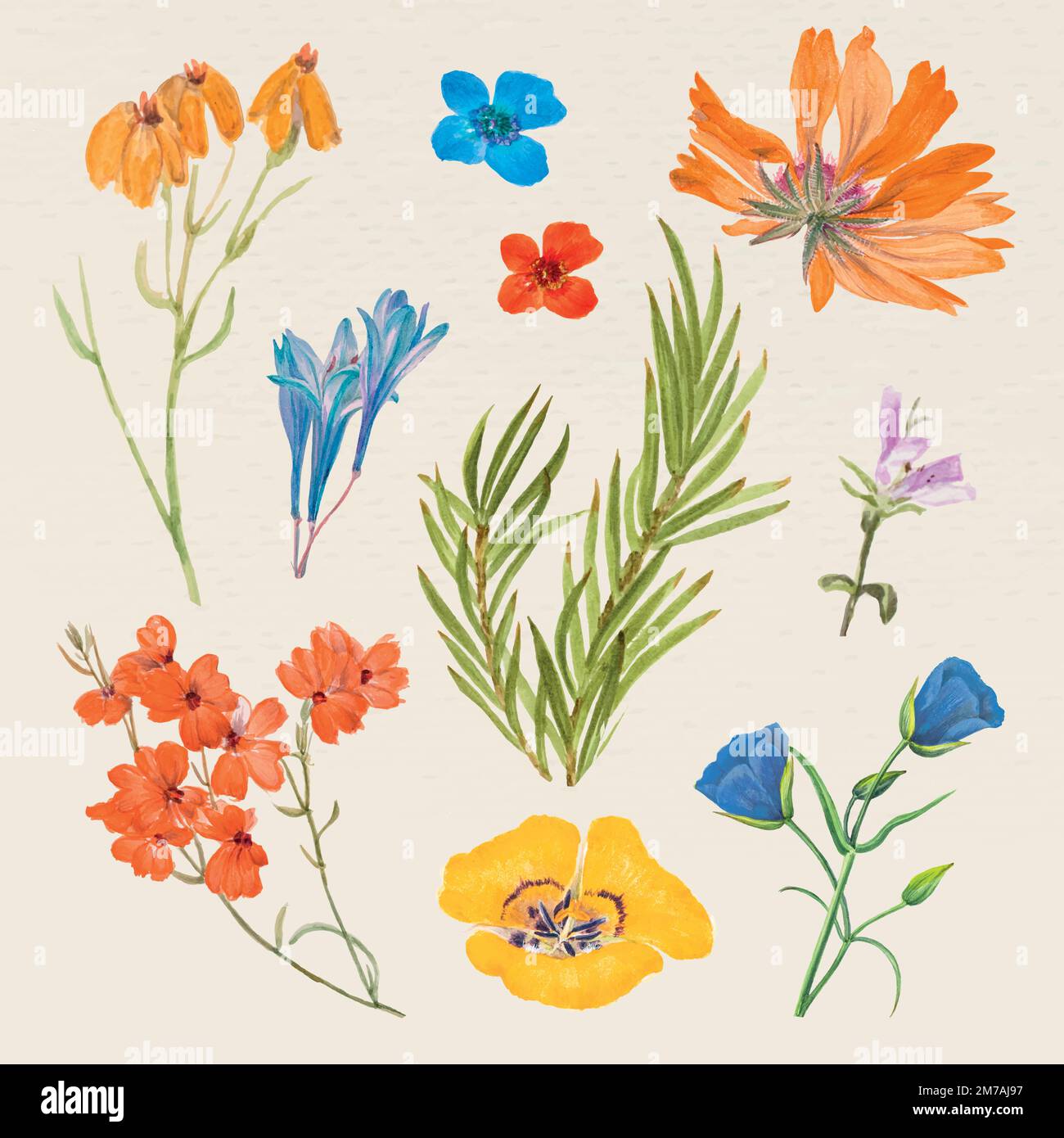 Vintage flower vector illustration set, remixed from public domain ...