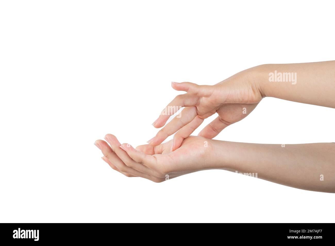Woman's hands touching each other, with white background Stock Photo ...