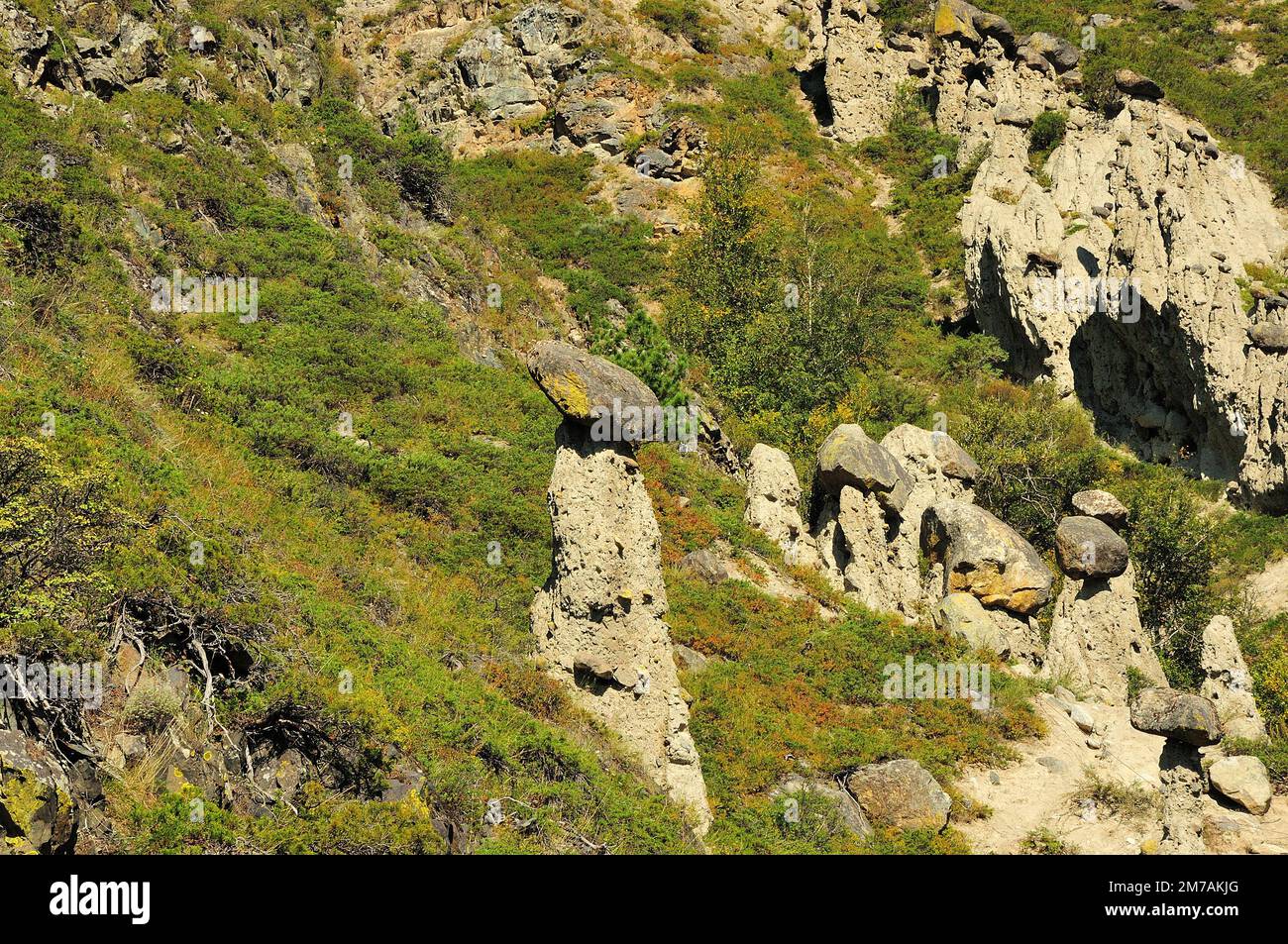 Unusual stone formations on the grassy slope of a high mountain. Stone ...
