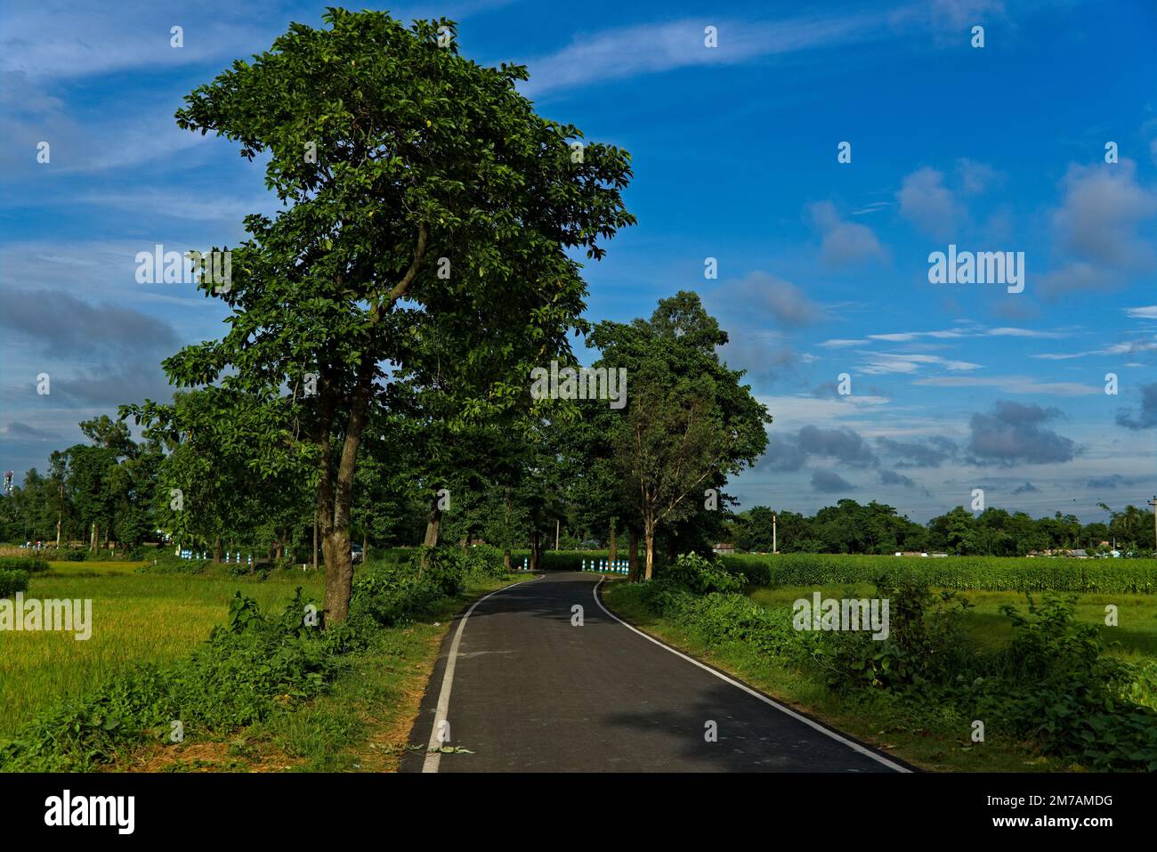asphalt road in rural india Stock Photo - Alamy
