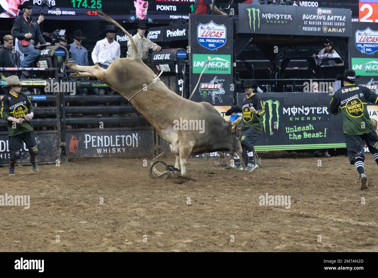 New York, Estados Unidos. 08th Jan, 2023. PBR Unleash The Beast event ...