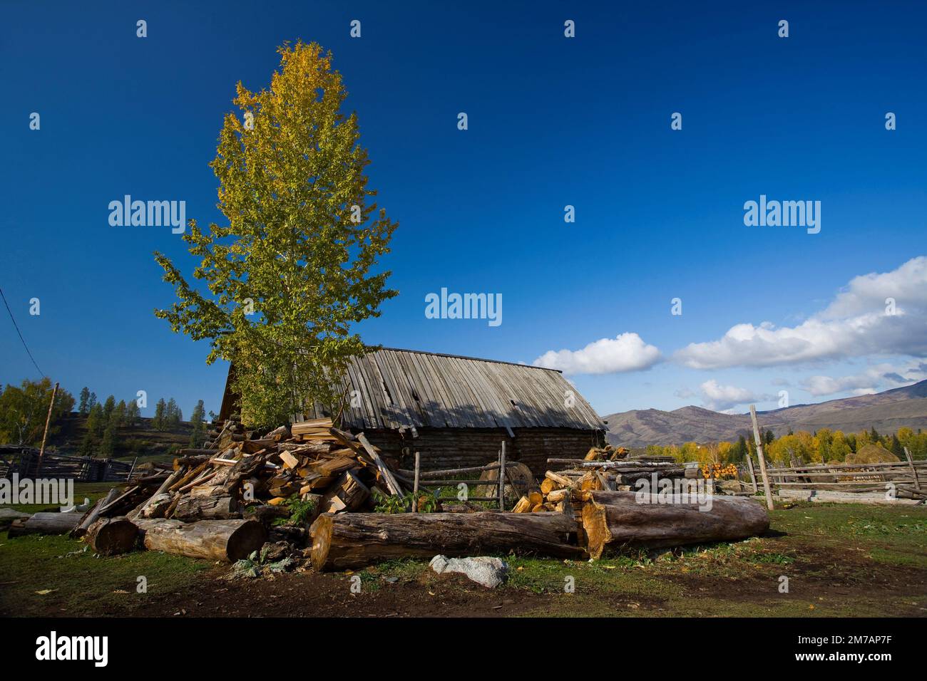 Altay Xinjiang,White Haba Stock Photo - Alamy