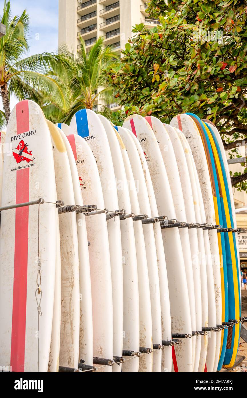 Honolulu, Hawaii - January 1, 2023: Surfboards lined up for rent in ...