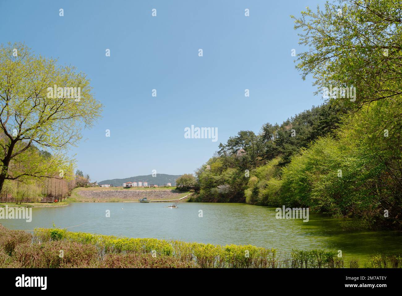 Lake and green forest at Gijang Yongso Well-Being Park in Busan, Korea ...