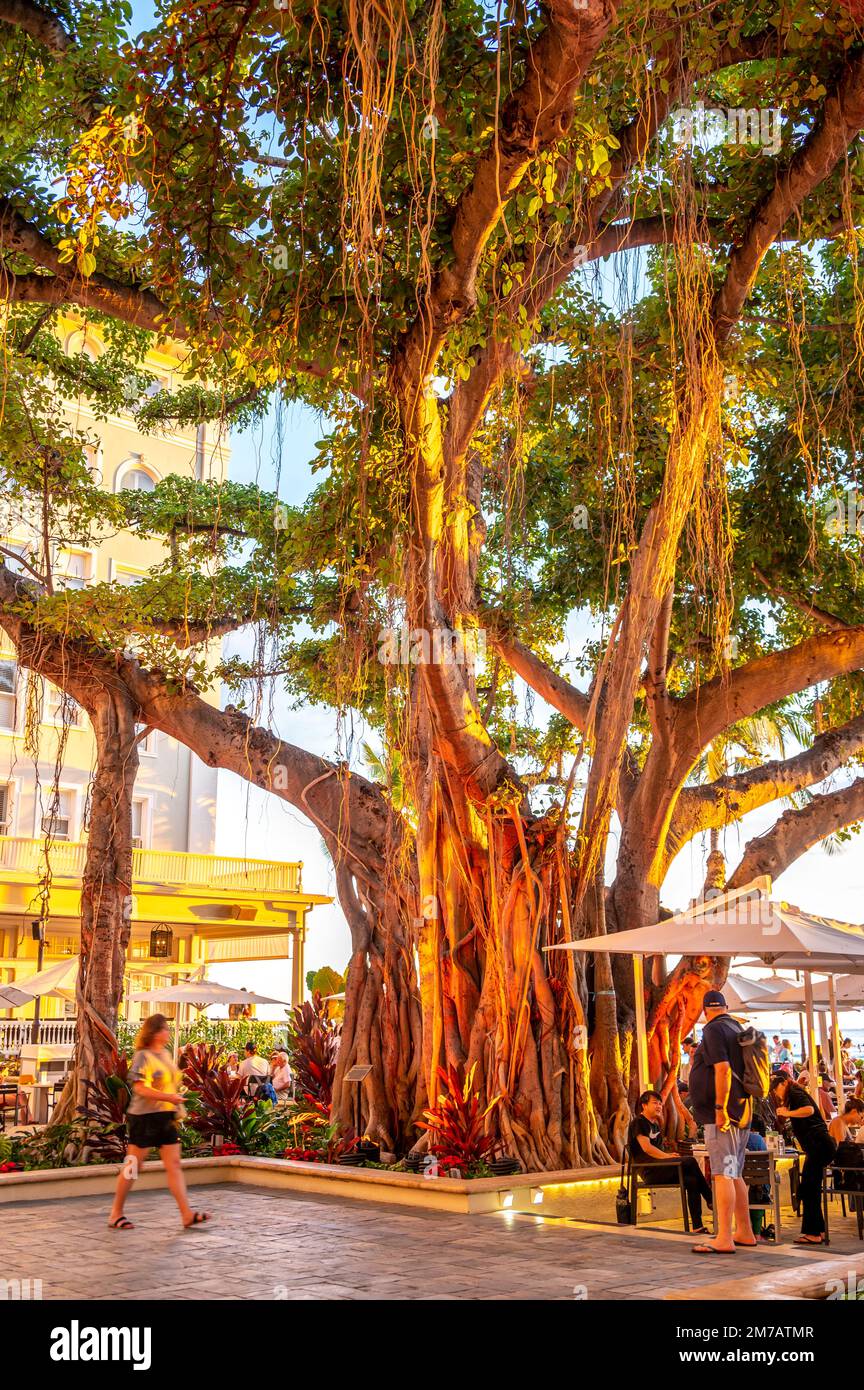 Honolulu, Hawaii - January 2, 2023: Enjoying the late evening on the ...