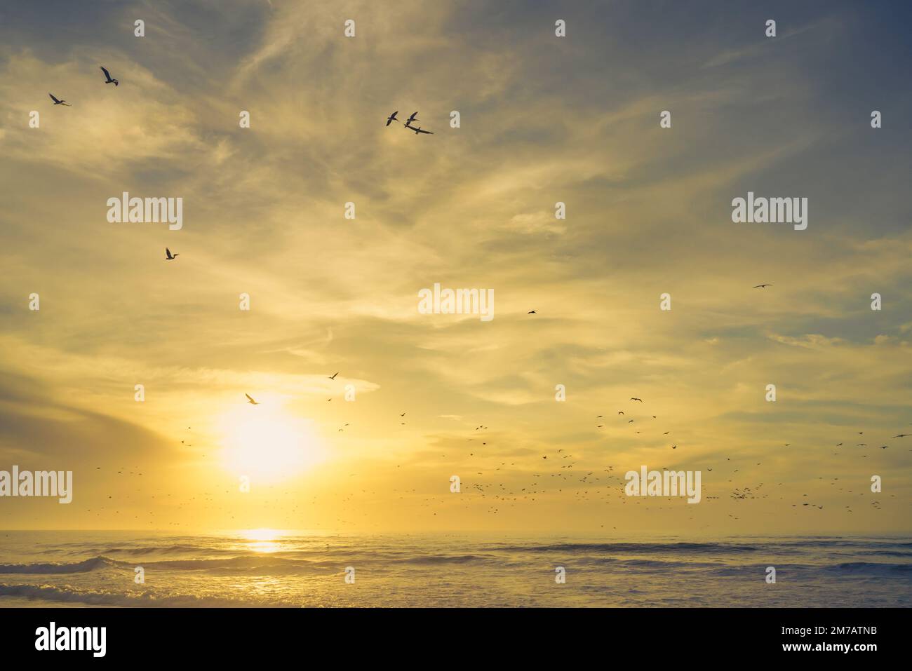 Golden sunset over the Pcific ocean. Sun setting down the horizon ...