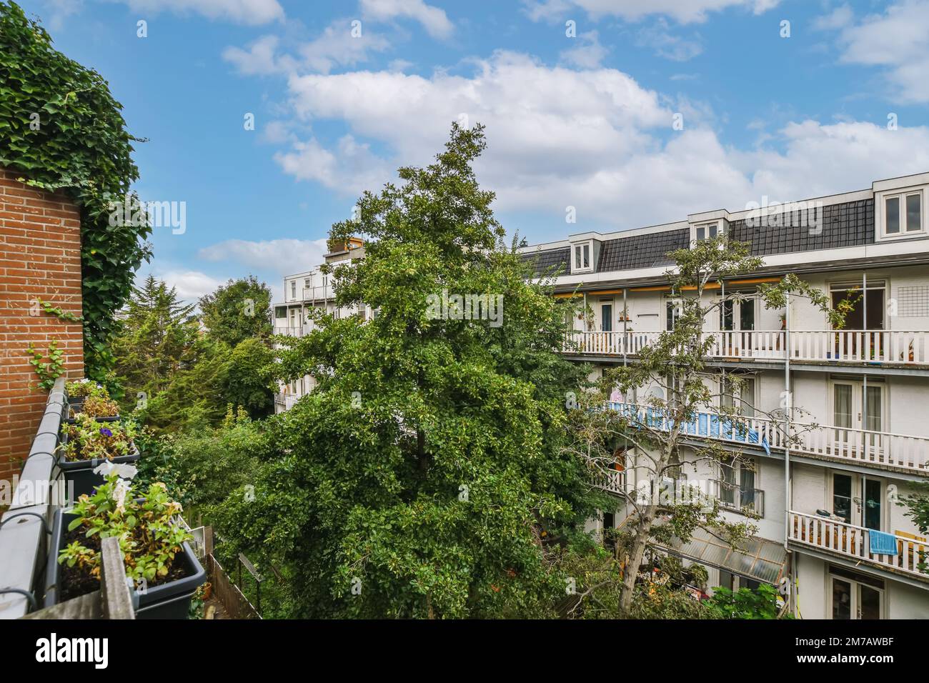 Apartment building trees on foreground hi-res stock photography and ...