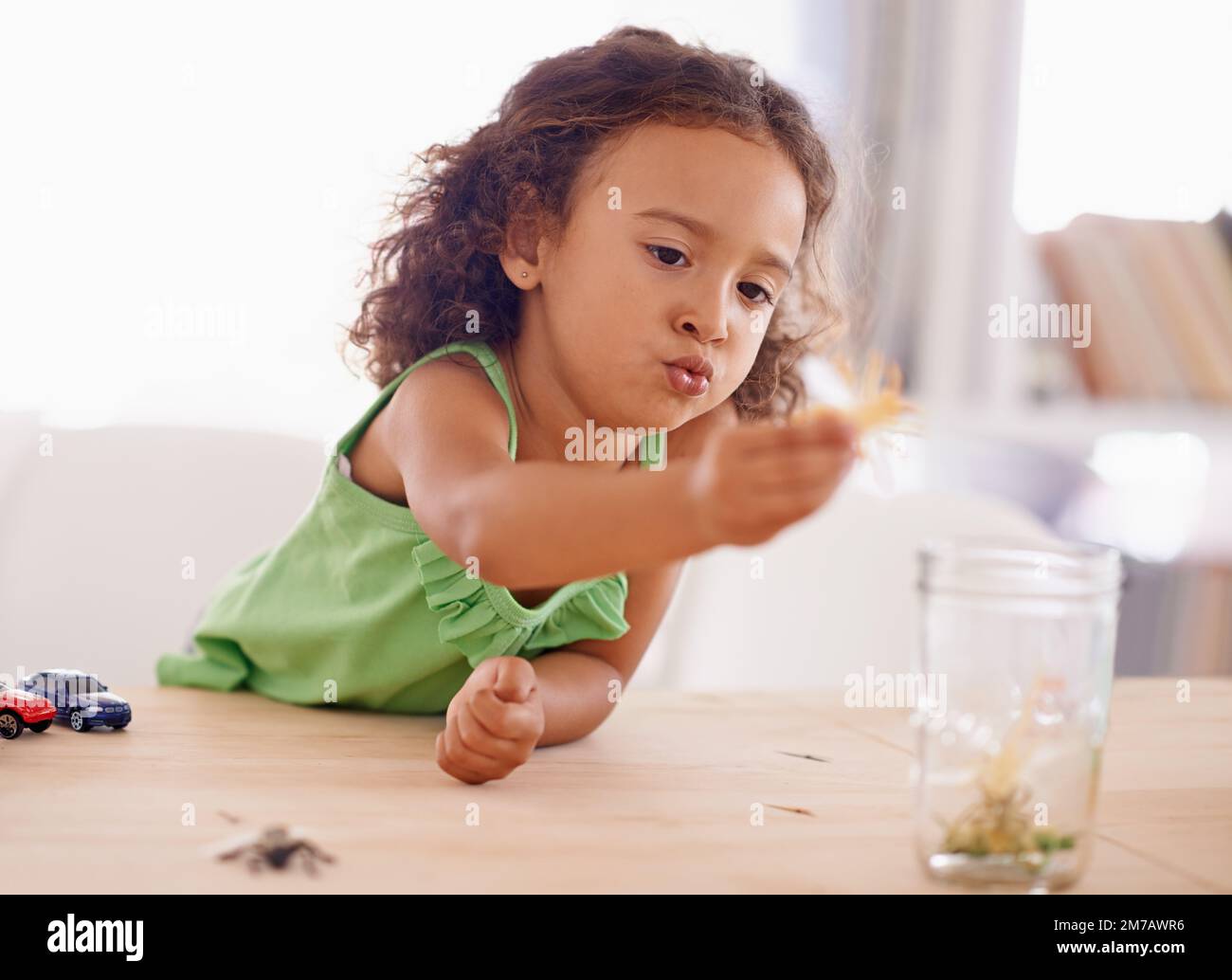 Child and insects hi-res stock photography and images - Alamy