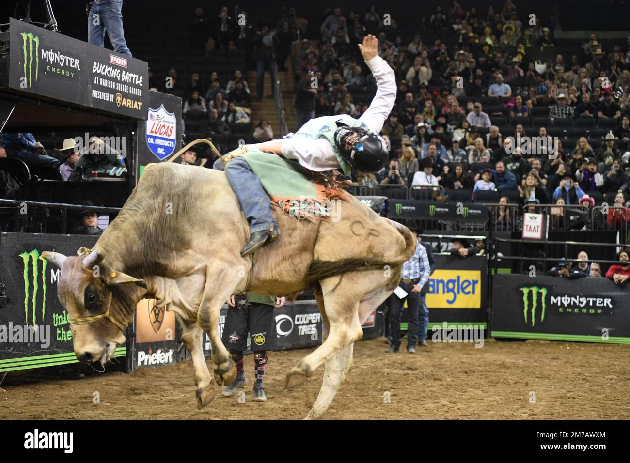 Professional Bull Rider rides bull Ridin' Solo during PBR Monster ...