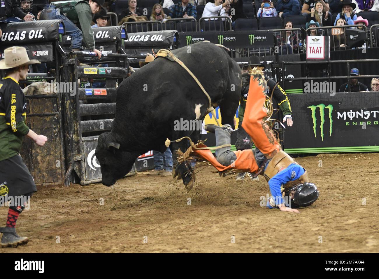 Professional Bull Rider Jesse Petri rides bull The Maverick during PBR ...