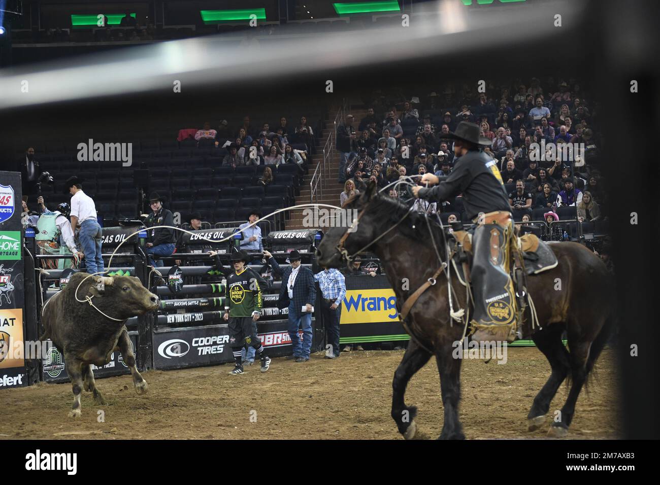 A wrangler wrangles a bull during PBR Monster Energy ‘Buck Off ...