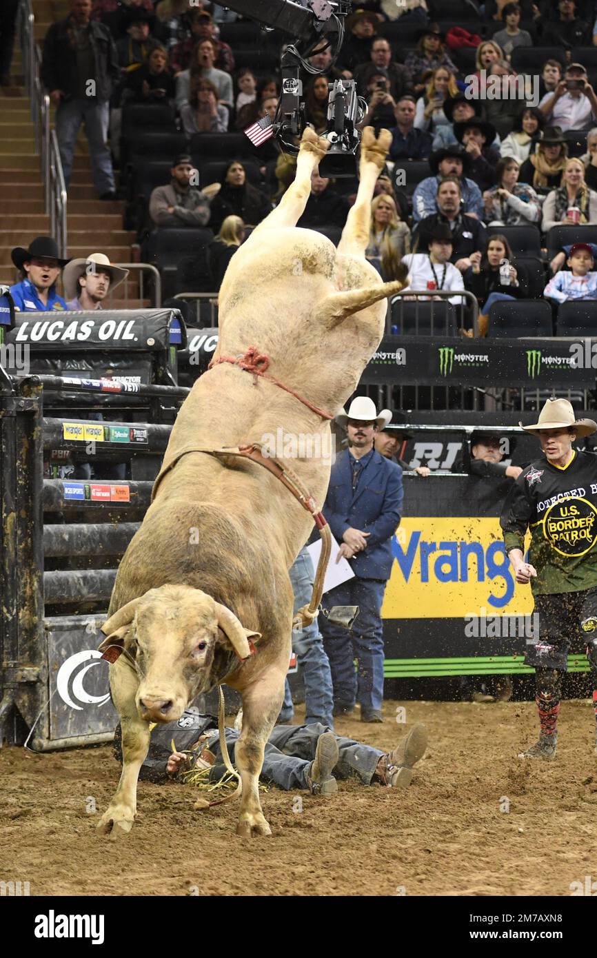 Professional Bull Rider Dener Barbosa rides bull Top Dollar during PBR ...