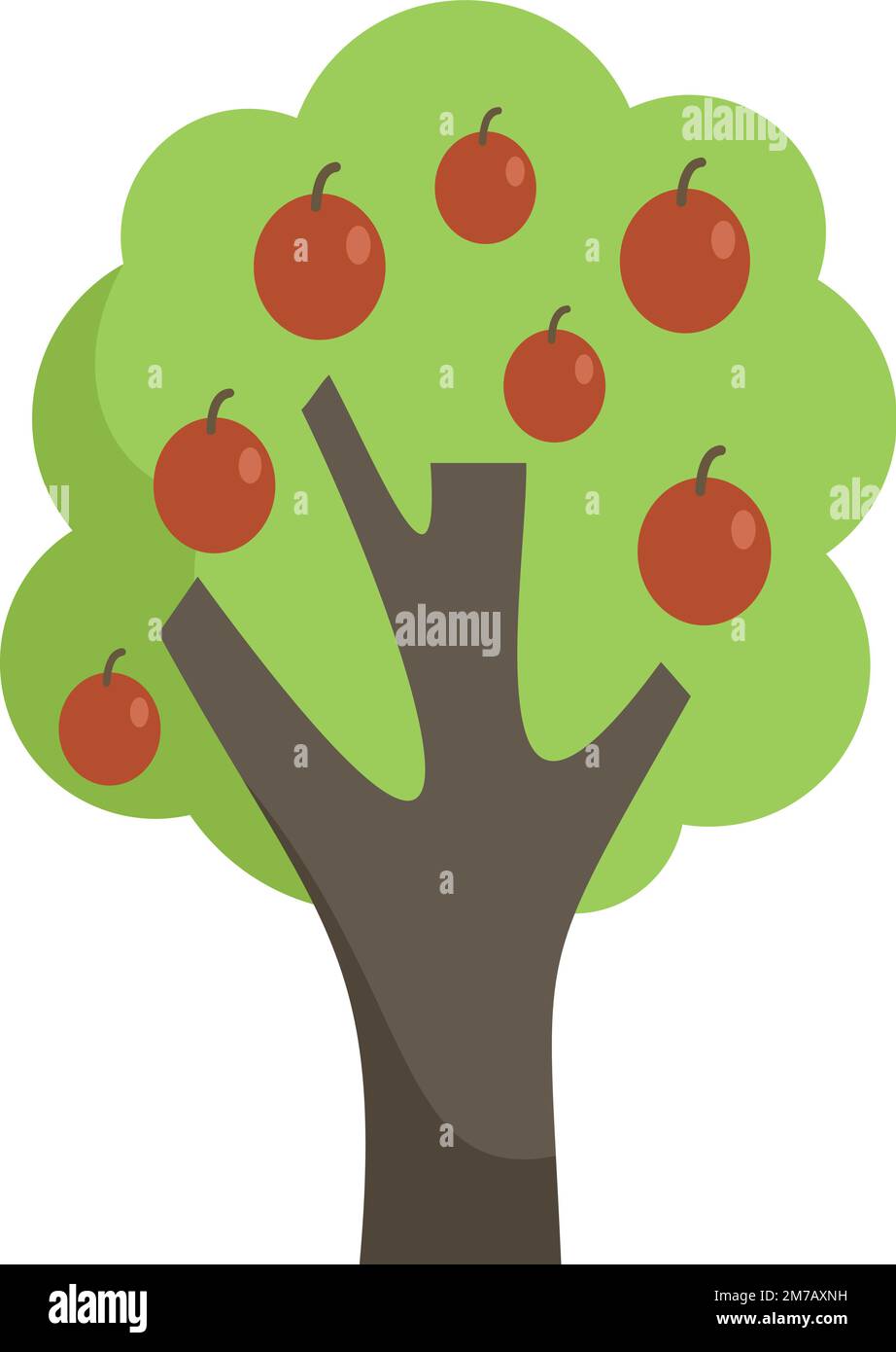 Pear harvest growing Cut Out Stock Images & Pictures - Alamy