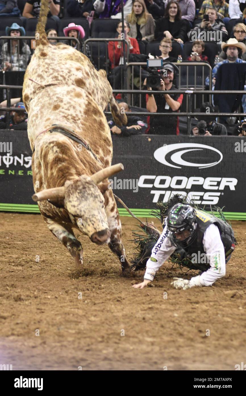 New York, USA. 08th Jan, 2023. Professional Bull Rider Dalton Kasel ...
