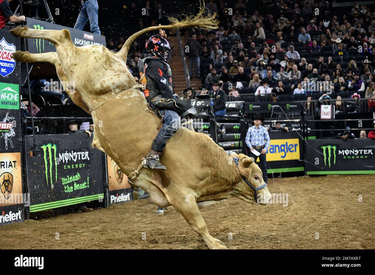 Professional Bull Rider Andrew Alvidrez rides bull Man Hater during PBR ...