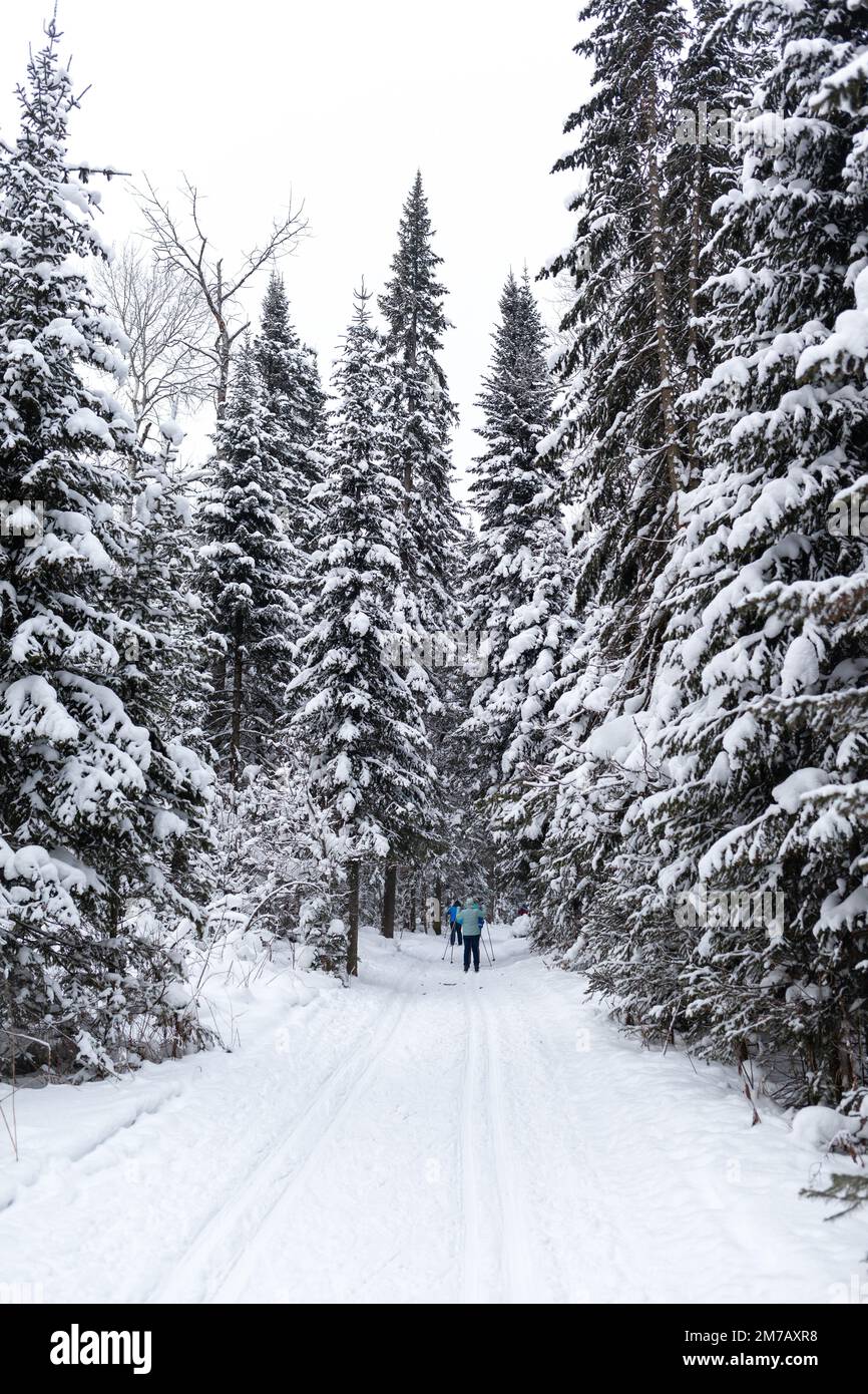 Frozen snow movement hi-res stock photography and images - Alamy