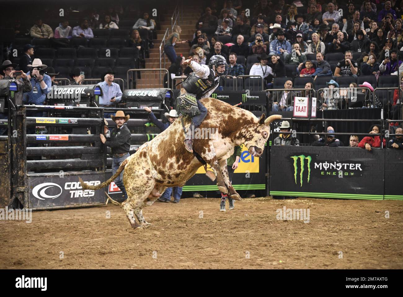Professional Bull Rider Dalton Kasel rides bull Painted Pony ...