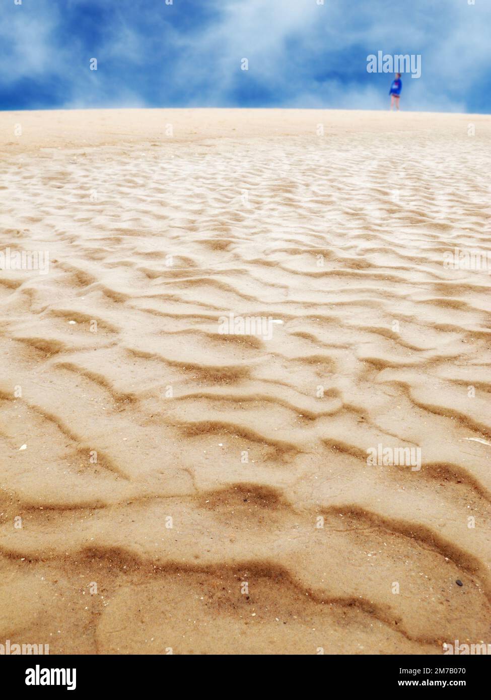 All white family beach photo hi-res stock photography and images - Alamy