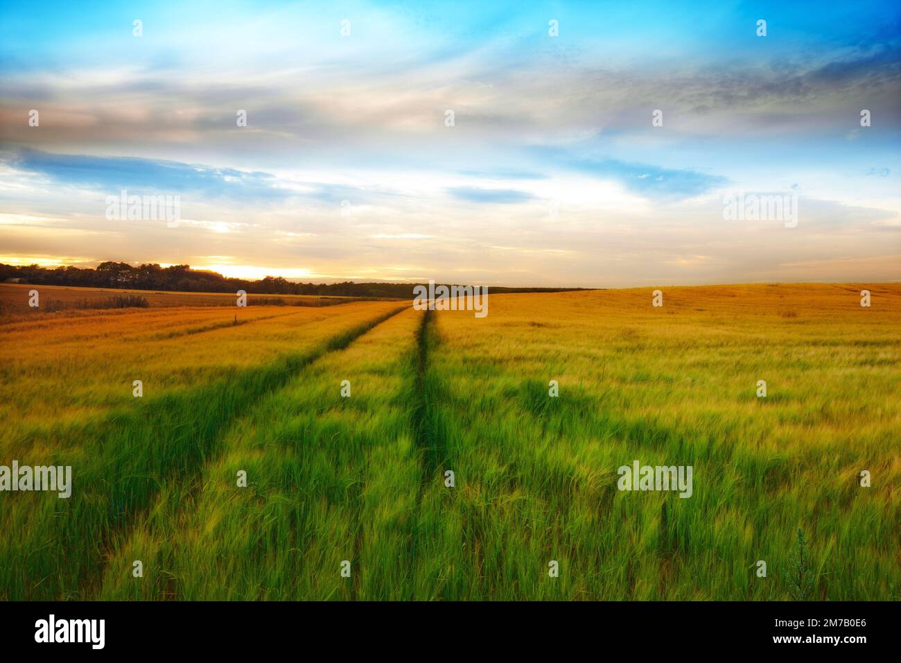 Authentic summer countryside landscape hi-res stock photography and ...