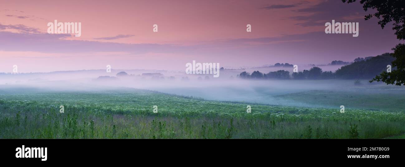 Misty morning. Fog hanging over a green Danish landscape at dawn ...