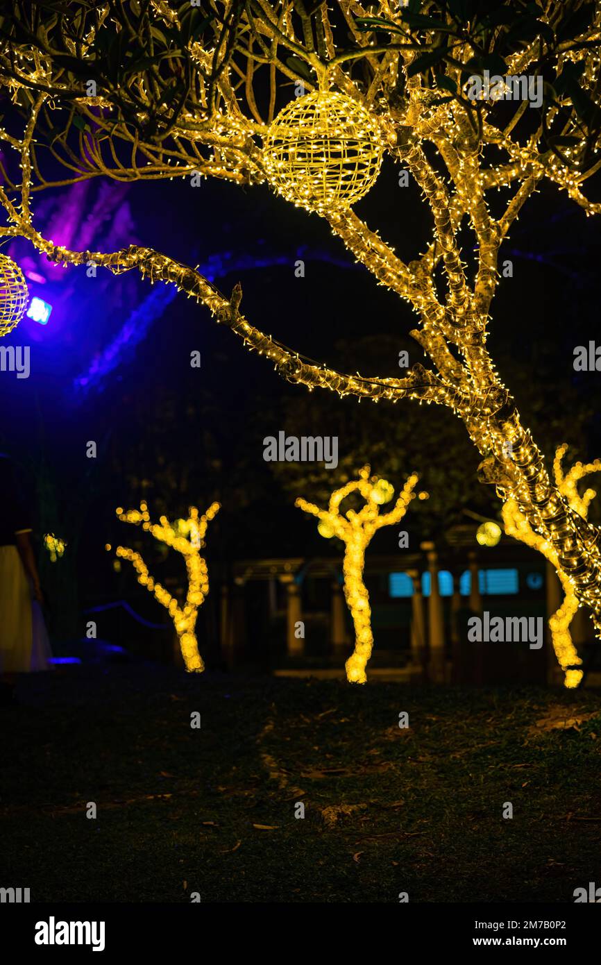 Led lights on the trees in the garden. Neon fairy party Stock Photo - Alamy