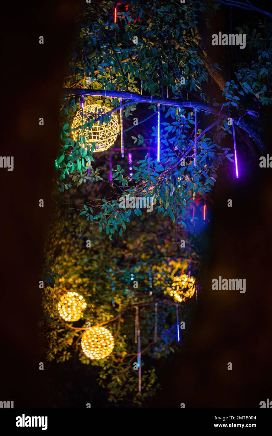 Led lights on the trees in the garden. Neon fairy party Stock Photo - Alamy