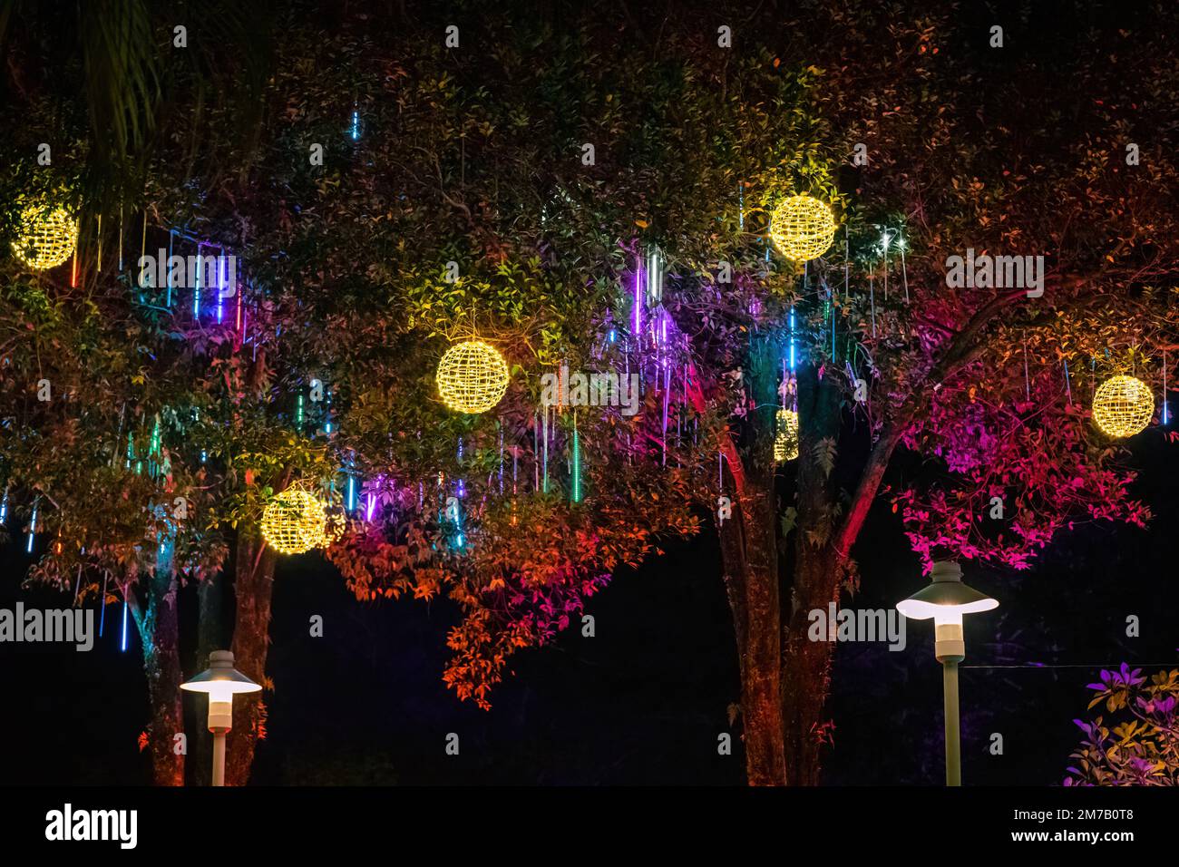 Led lights on the trees in the garden. Neon fairy party Stock Photo - Alamy